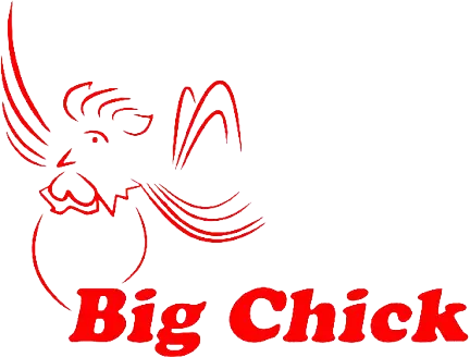 Big Chick | Veleprodaja giros mesa | Proizvodnja i distribucija mesa ...